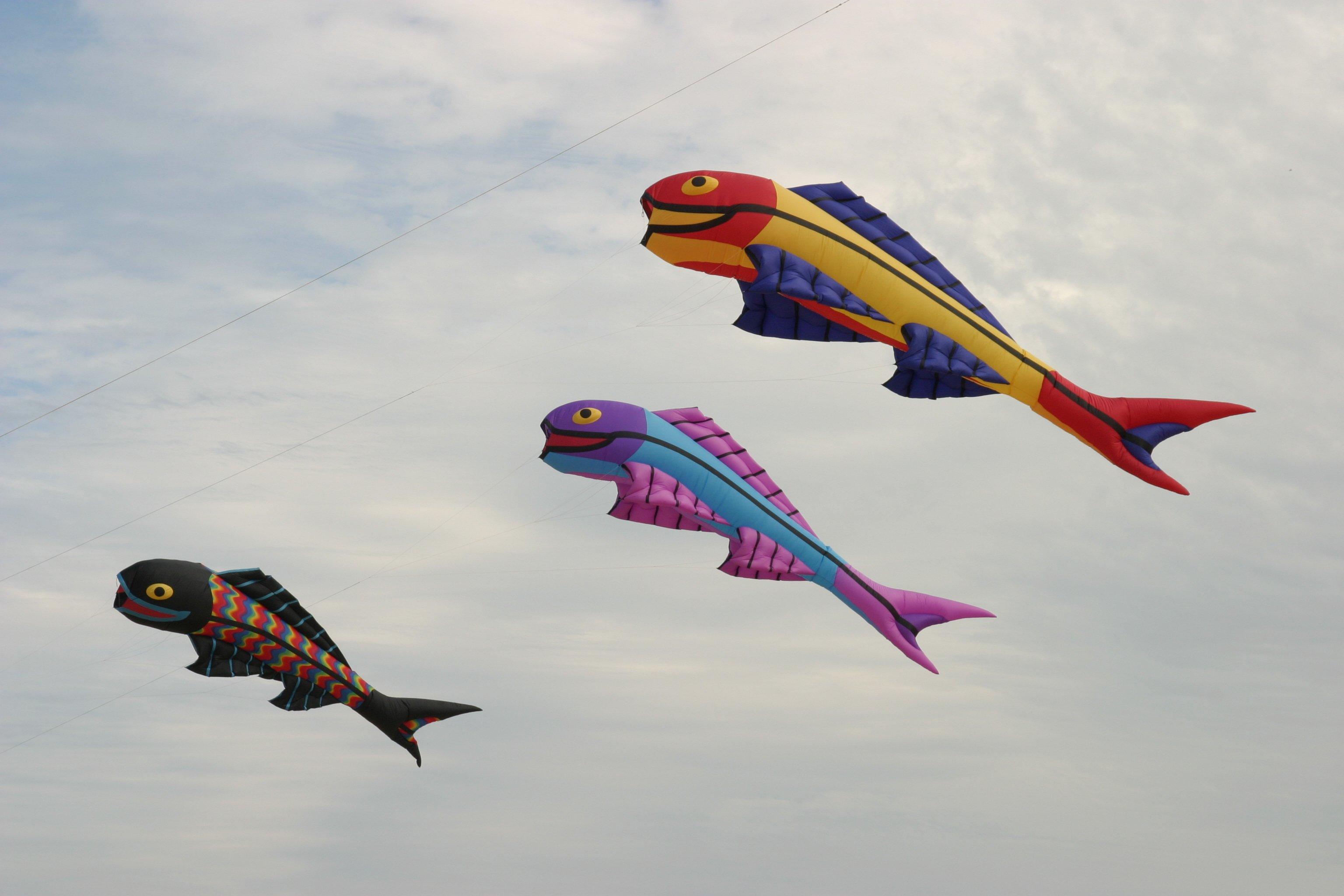 Animal Kites – Kitty Hawk Kites