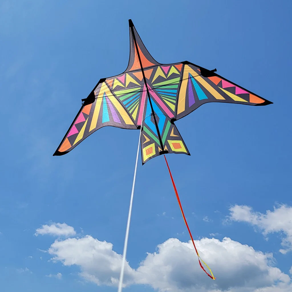 16' Thunderbird Kite - Rainbow Geometric – Kitty Hawk Kites