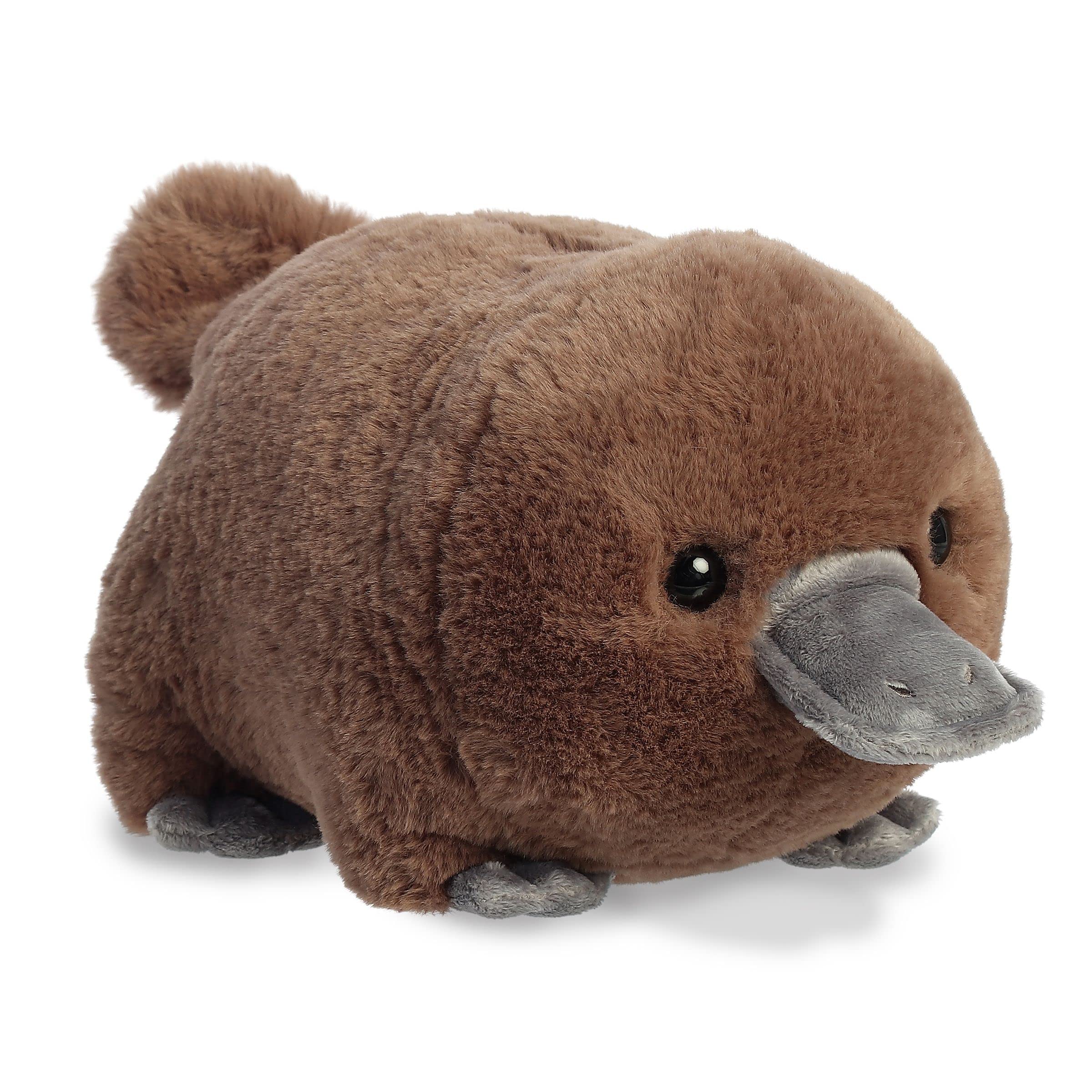 Spudsters - 10" Pongo Platypus – Kitty Hawk Kites
