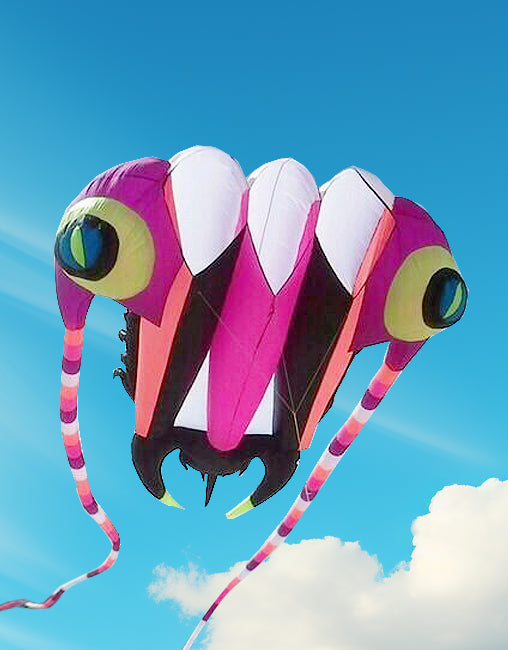 10M Trilobite Kite - Pink – Kitty Hawk Kites