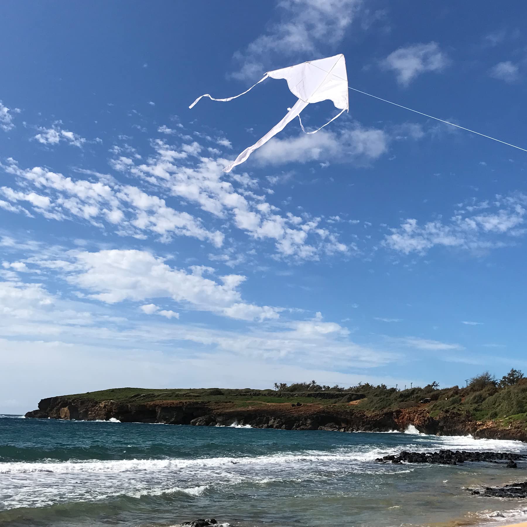 In the Breeze Solid Color Fly-Hi Kites - White – Kitty Hawk Kites