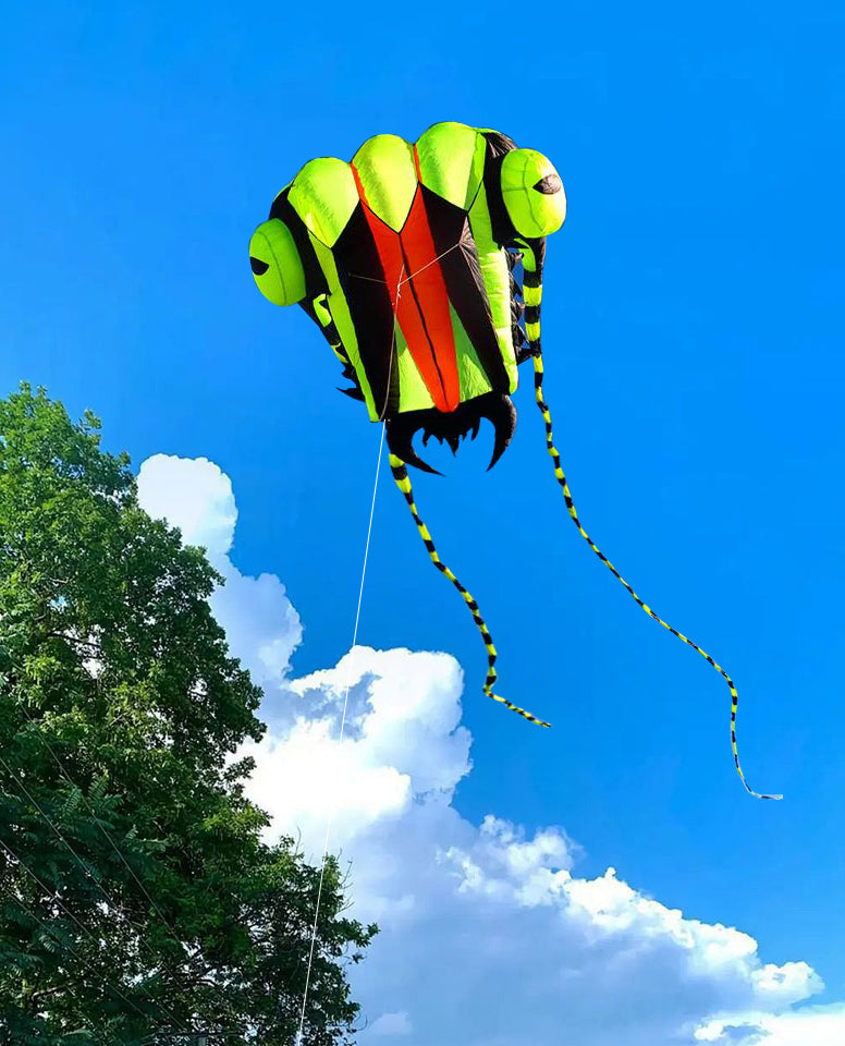 2M Trilobite Kite - Yellow – Kitty Hawk Kites