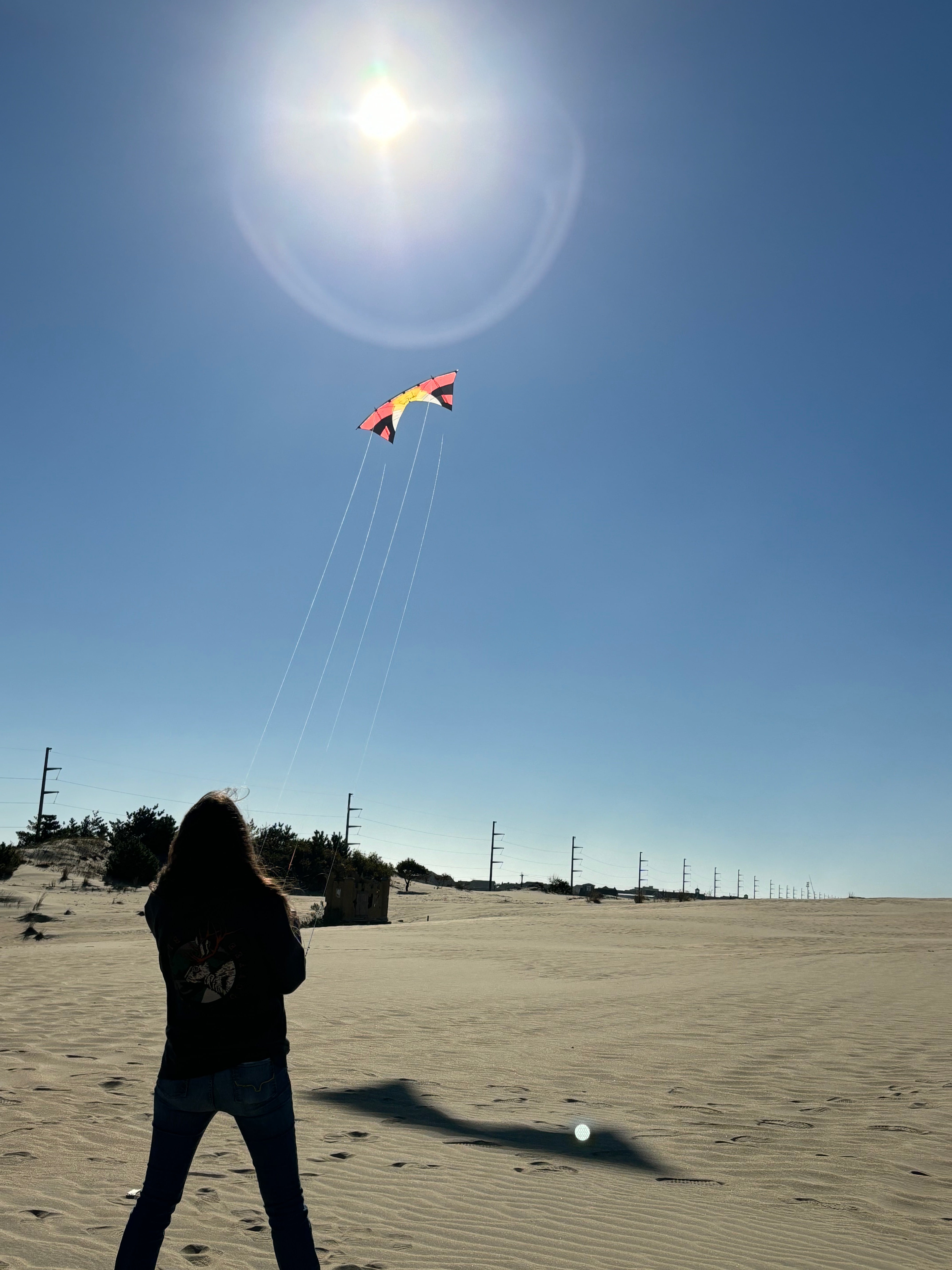 HQ Verve Quad-Line Sport Kite - Blaze – Kitty Hawk Kites