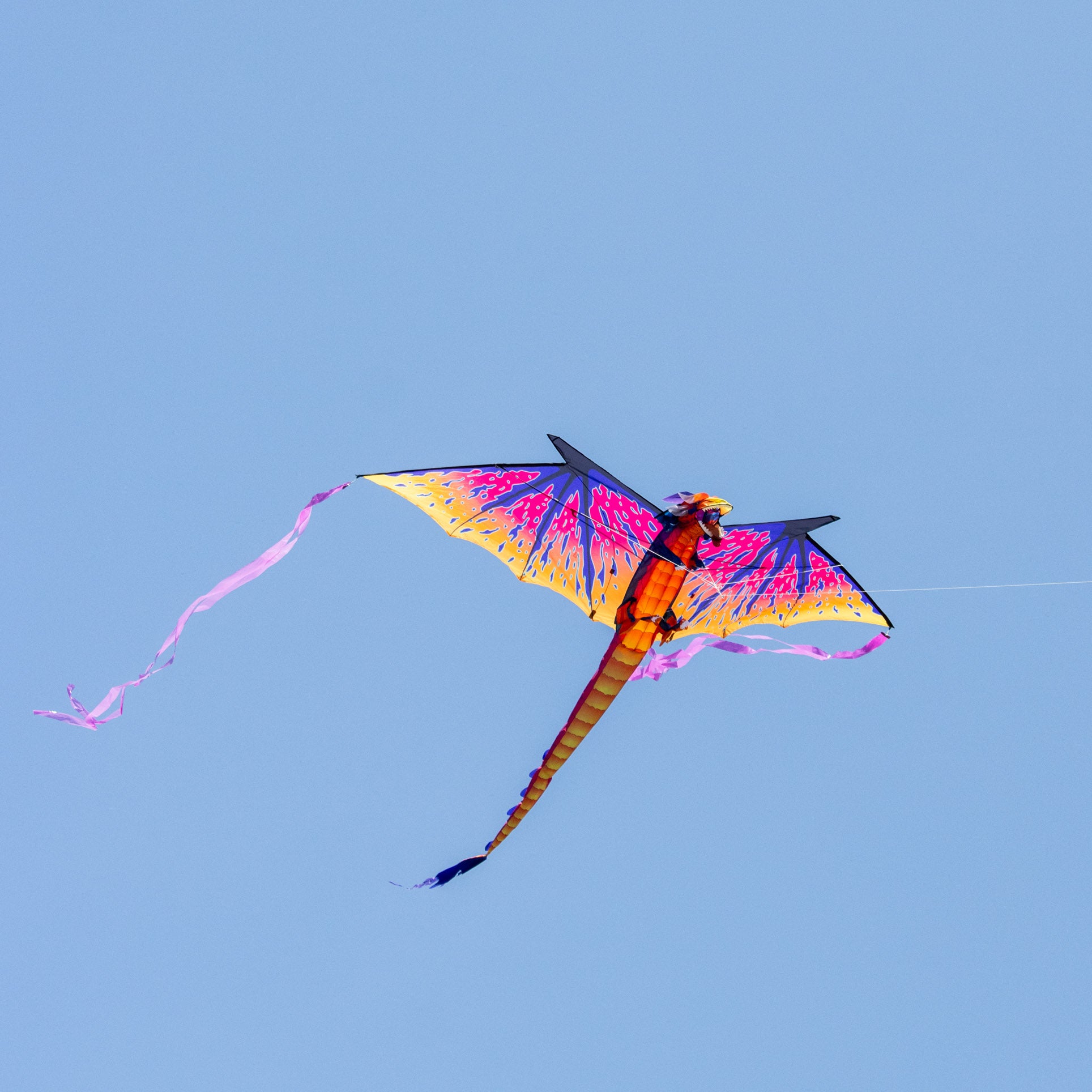 Dragon Kites – Kitty Hawk Kites Online Store
