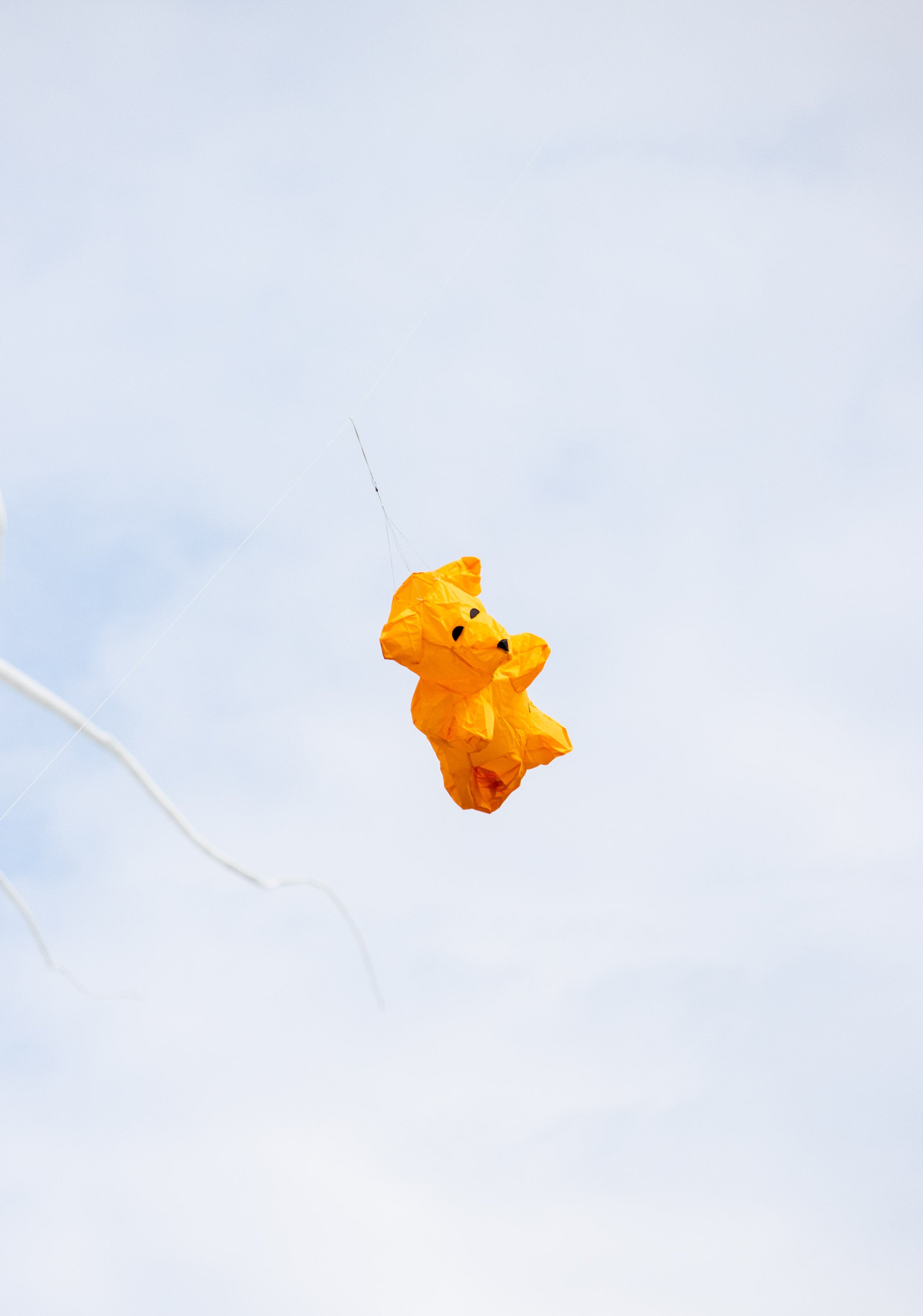 24" Gummy Bear Windsock - Orange – Kitty Hawk Kites