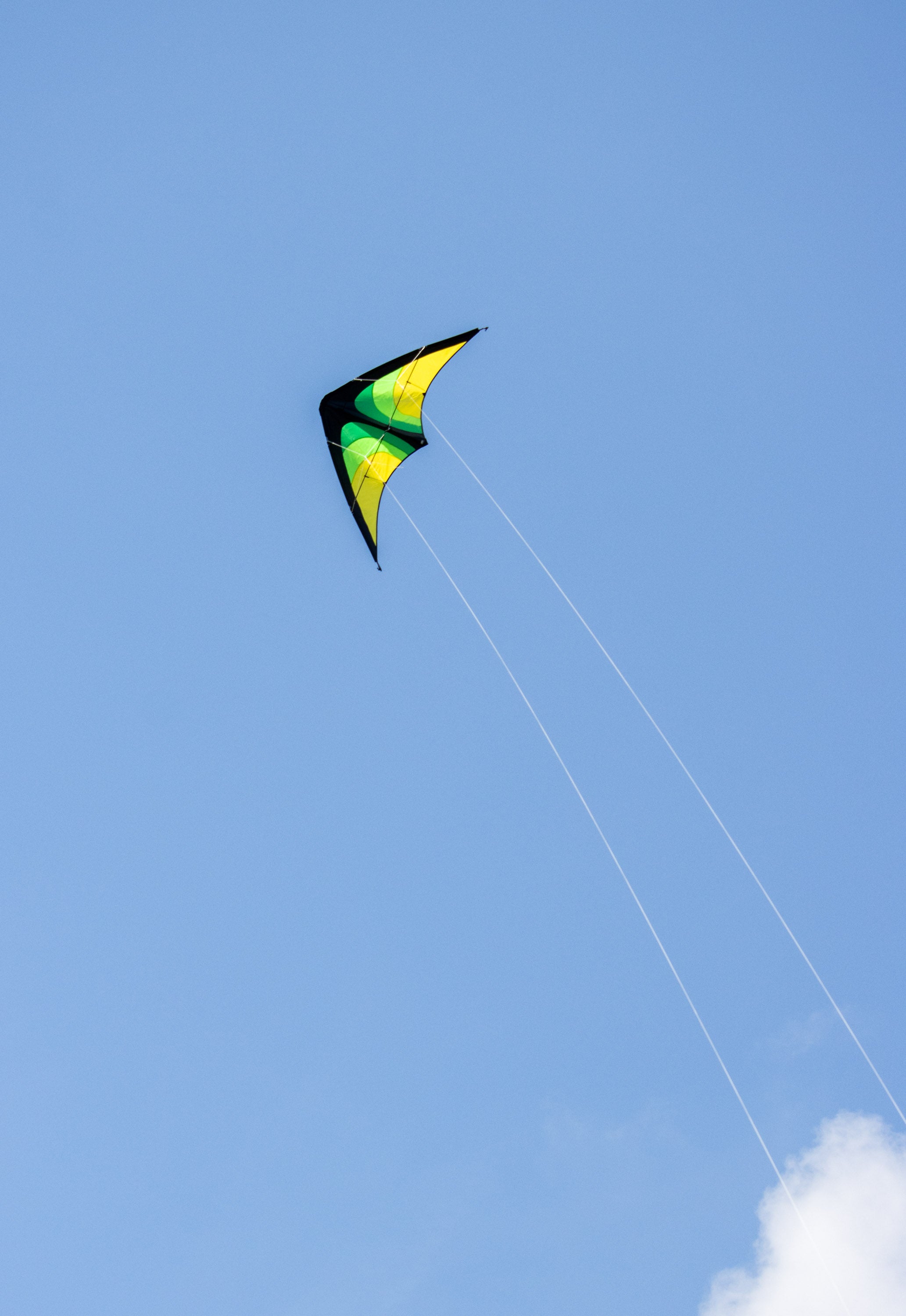 Kitty Hawk Osprey Dual Line Stunt Kite - Green – Kitty Hawk Kites