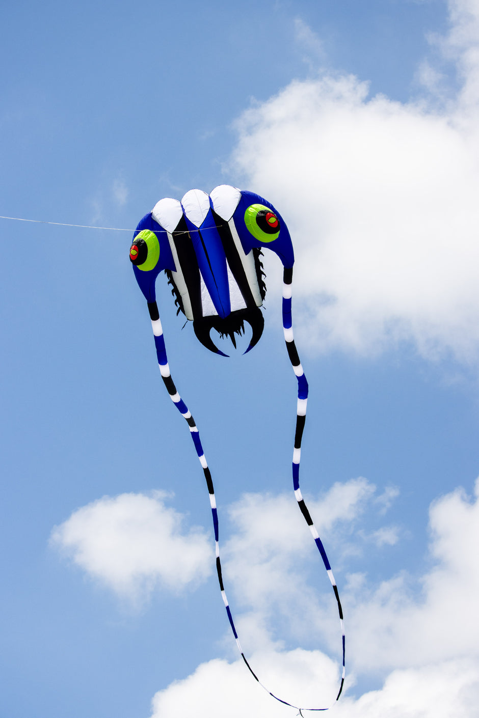 Best Selling Kites – Page 32 – Kitty Hawk Kites