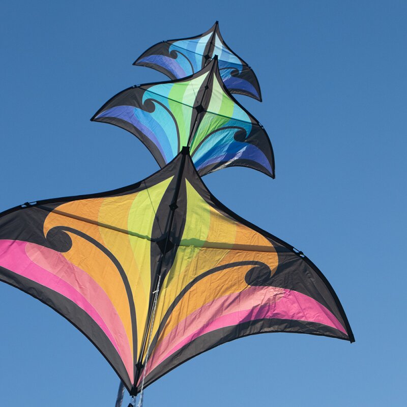 Swift Delta by Spiderkites - Aqua/Violet – Kitty Hawk Kites