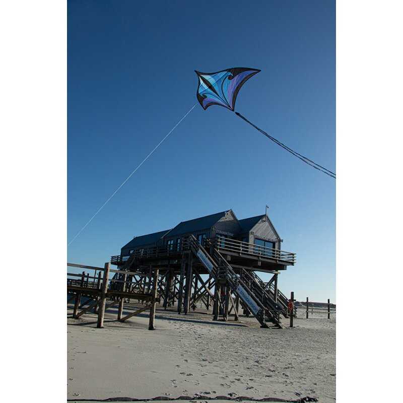 Swift Delta by Spiderkites - Aqua/Violet – Kitty Hawk Kites