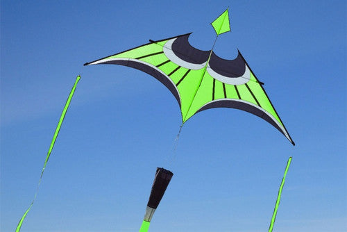 Hoffmann's Canard Delta - Large/Lime – Kitty Hawk Kites