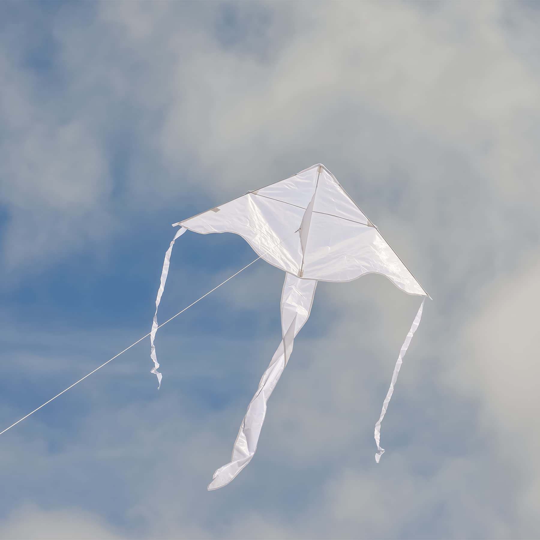 In the Breeze Solid Color Fly-Hi Kites - White – Kitty Hawk Kites