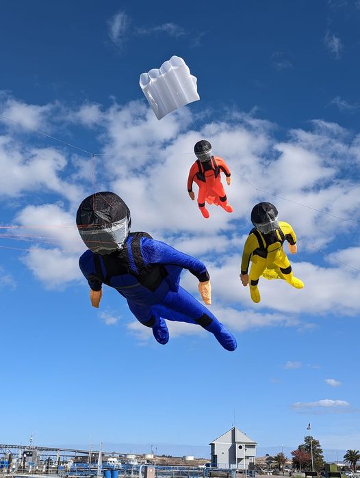 TJ's Wing-Suited Sky Diver Inflatable - Blue – Kitty Hawk Kites