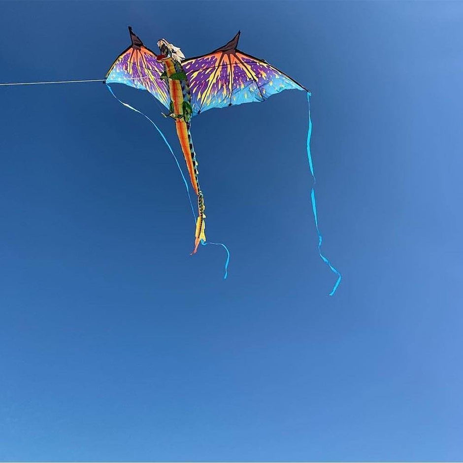 Kites, Wind Spinners, Toys & Gifts | World’s Largest Kite Shop – Kitty ...