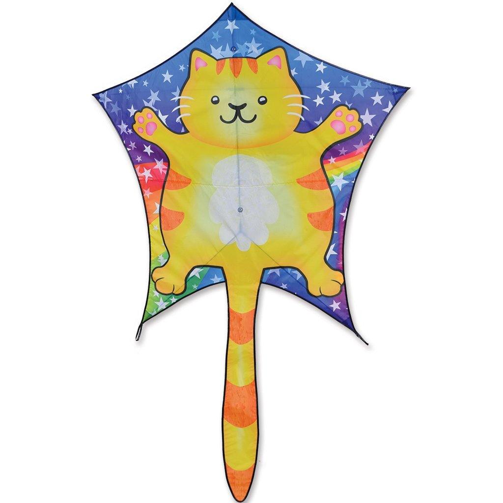 Kites for Kids – Kitty Hawk Kites Online Store