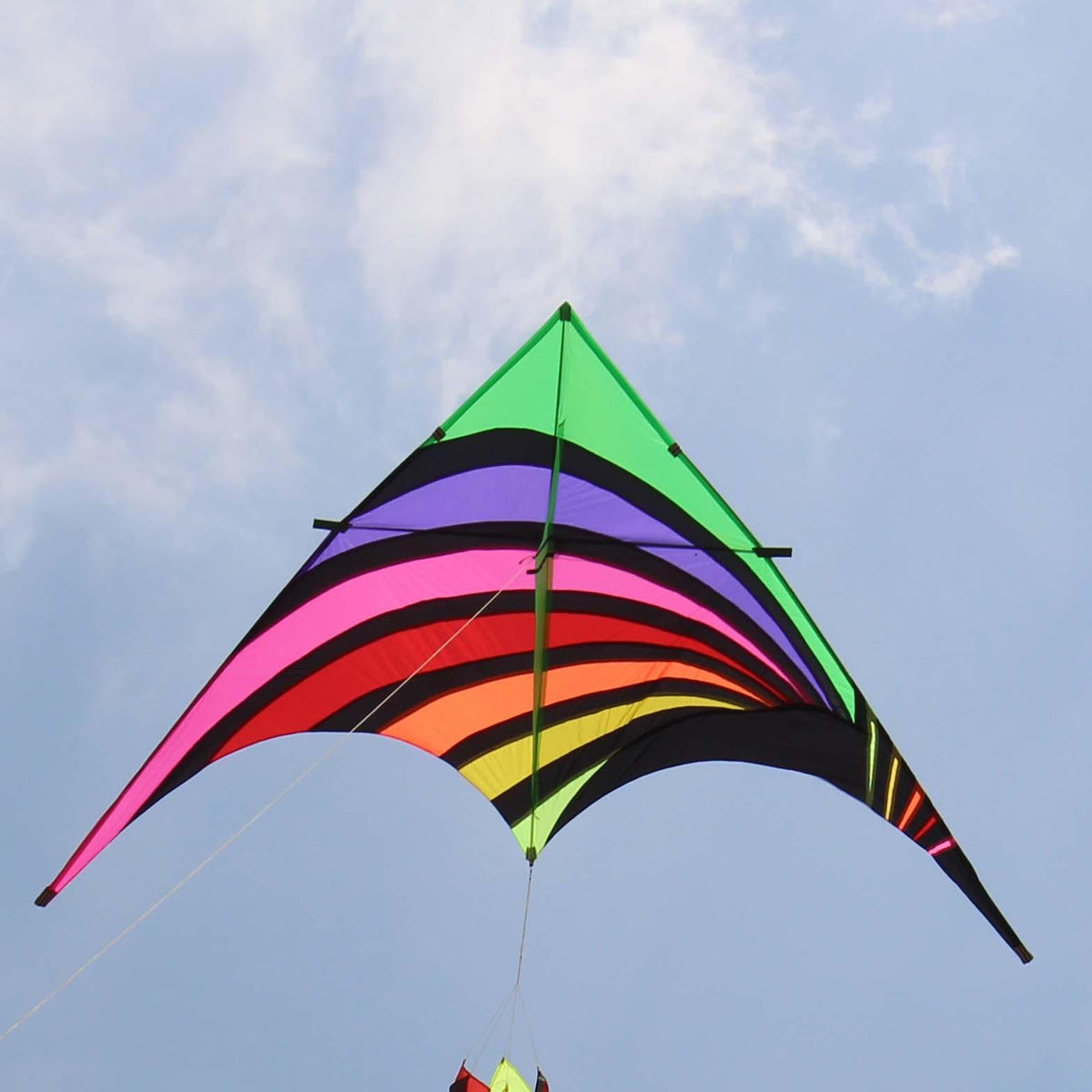 9ft Delta Kites (KHK Exclusives) - Rainbow Ray – Kitty Hawk Kites
