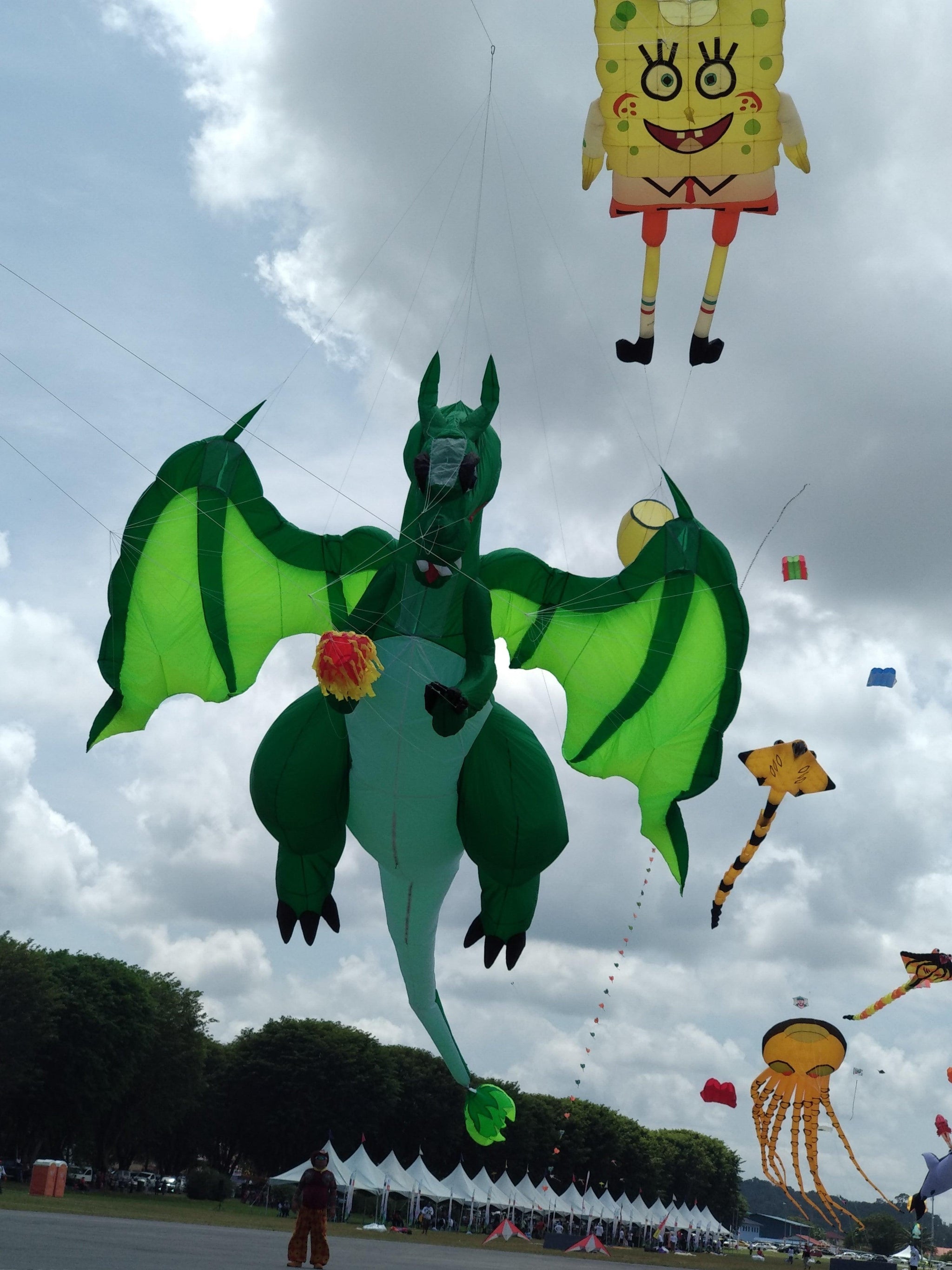 10m Fantasy Dragon Inflatable Line Laundry – Kitty Hawk Kites Online Store