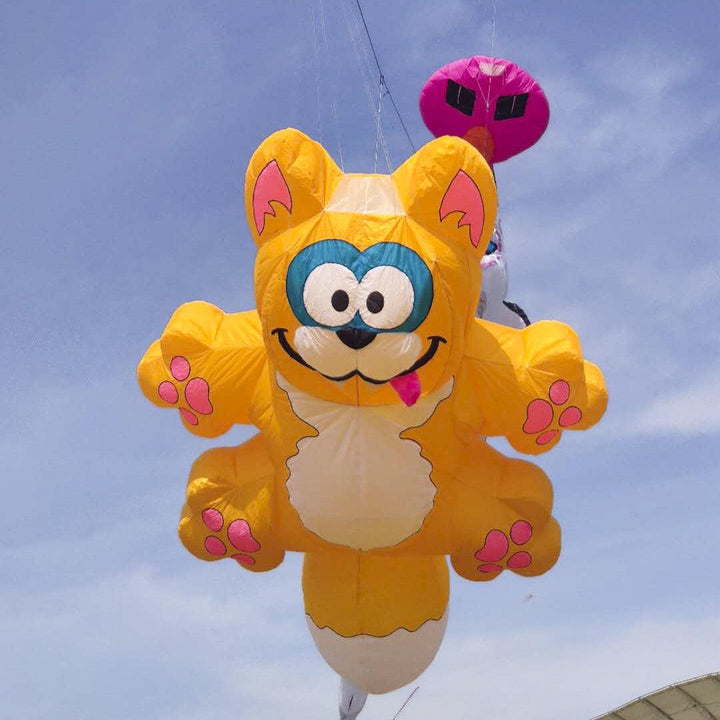 Giant Kites – Kitty Hawk Kites